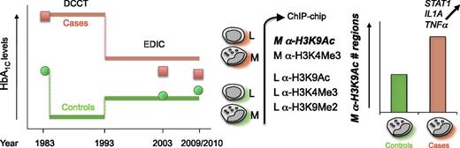 The DCCT/EDIC Study: Epigenetic Clues After Three Decades | Diabetes ...