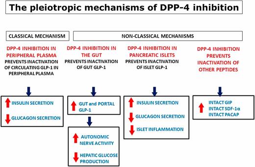 Pleiotropic Mechanisms for the Glucose-Lowering Action of DPP-4 ...