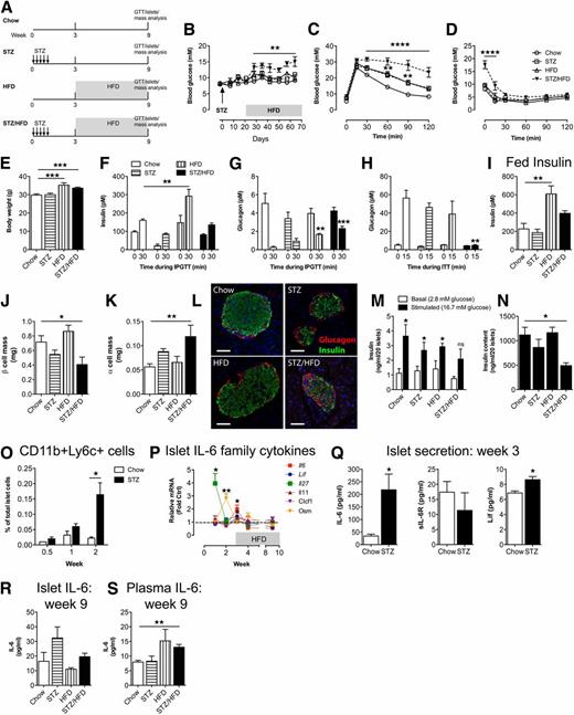 Glycoprotein 130 Receptor Signaling Mediates α-Cell Dysfunction in a ...