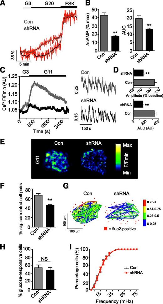 ADCY5 Couples Glucose to Insulin Secretion in Human Islets | Diabetes ...