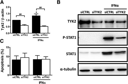 TYK2, a Candidate Gene for Type 1 Diabetes, Modulates Apoptosis and the ...