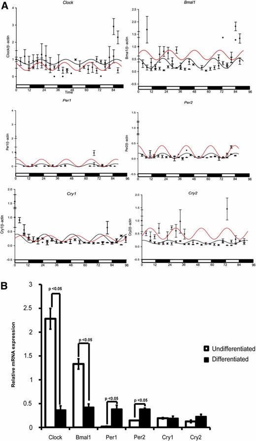 miR-92a Corrects CD34+ Cell Dysfunction in Diabetes by Modulating Core ...