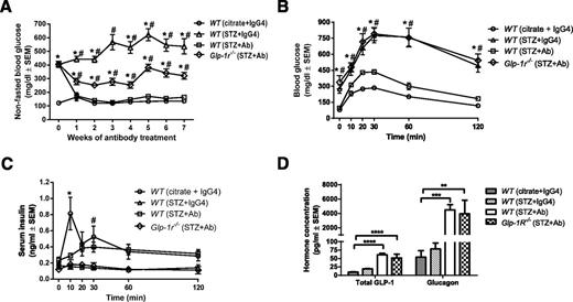 Absence of Glucagon and Insulin Action Reveals a Role for the GLP-1 ...