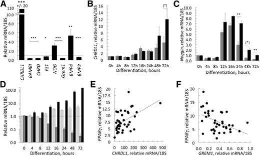 BMP4 and BMP Antagonists Regulate Human White and Beige Adipogenesis ...