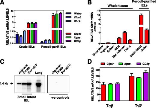 GLP-1R Agonists Modulate Enteric Immune Responses Through the ...