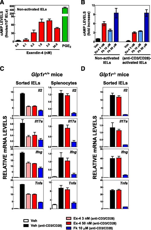 GLP-1R Agonists Modulate Enteric Immune Responses Through the ...