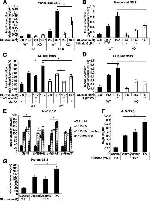 GPR43 Potentiates β-Cell Function in Obesity | Diabetes | American ...