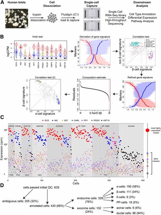 Single-Cell Transcriptomics of the Human Endocrine Pancreas | Diabetes ...