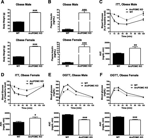 Hypothalamic POMC Deficiency Improves Glucose Tolerance Despite Insulin ...