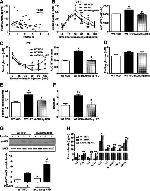 Adrenomedullin 2 Improves Early Obesity-Induced Adipose Insulin ...