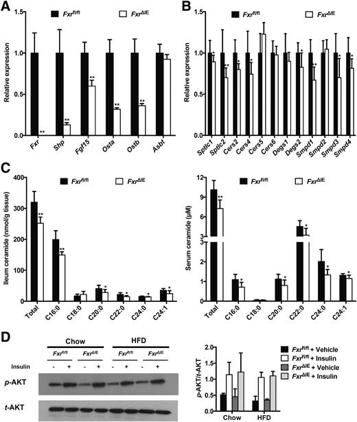An Intestinal Farnesoid X Receptor–Ceramide Signaling Axis Modulates ...
