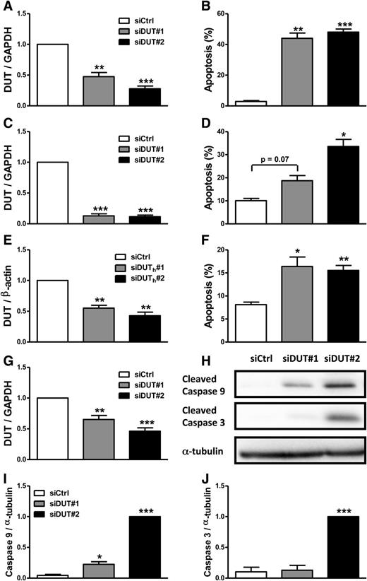 dUTPase (DUT) Is Mutated in a Novel Monogenic Syndrome With Diabetes ...