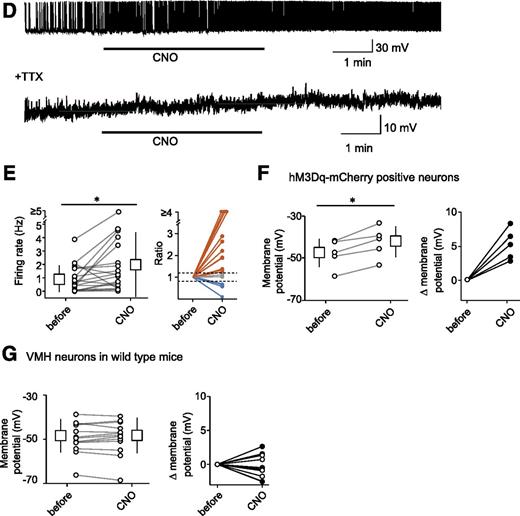 Activation of SF1 Neurons in the Ventromedial Hypothalamus by DREADD ...