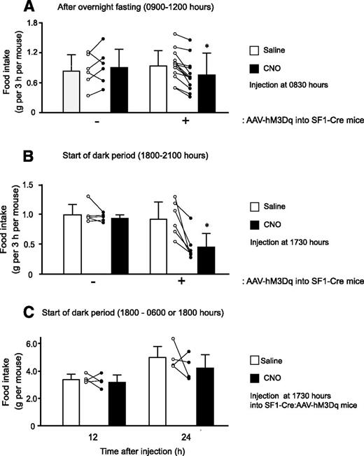 Activation of SF1 Neurons in the Ventromedial Hypothalamus by DREADD ...