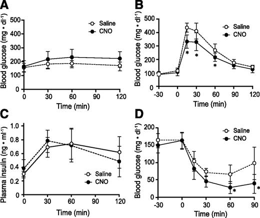 Activation of SF1 Neurons in the Ventromedial Hypothalamus by DREADD ...