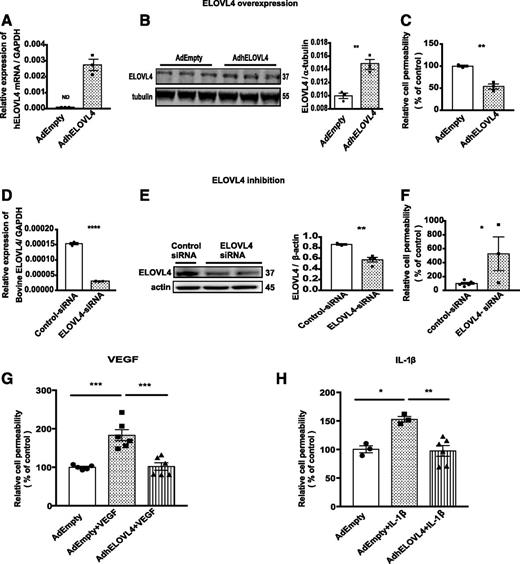 ELOVL4-Mediated Production of Very Long-Chain Ceramides Stabilizes ...