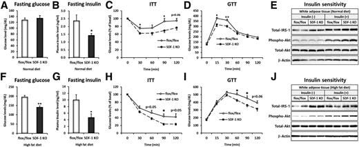 SDF-1 Is an Autocrine Insulin-Desensitizing Factor in Adipocytes ...