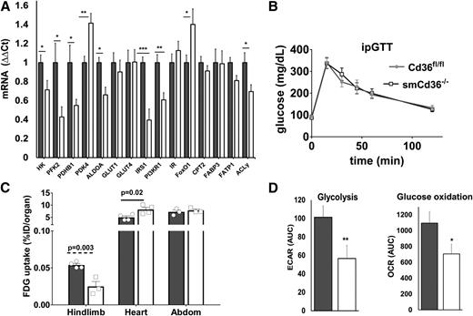Regulation of Insulin Receptor Pathway and Glucose Metabolism by CD36 ...
