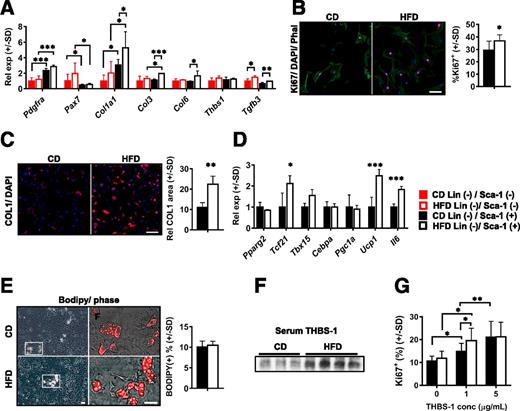 Fibro-Adipogenic Remodeling of the Diaphragm in Obesity-Associated ...