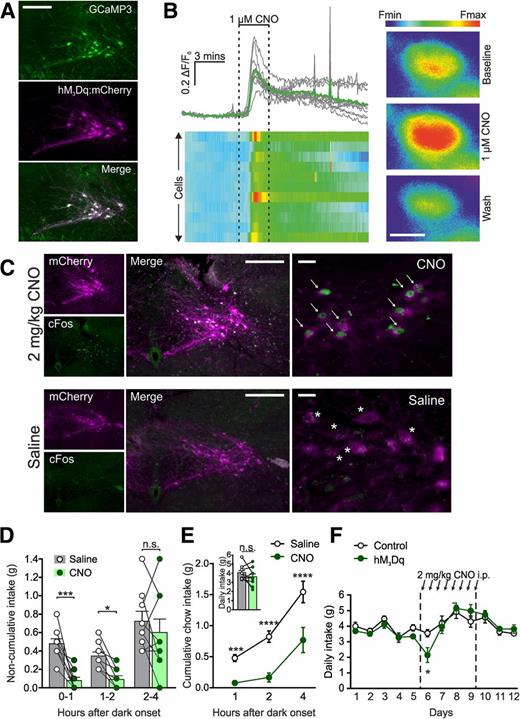 Preproglucagon Neurons in the Nucleus of the Solitary Tract Are the ...