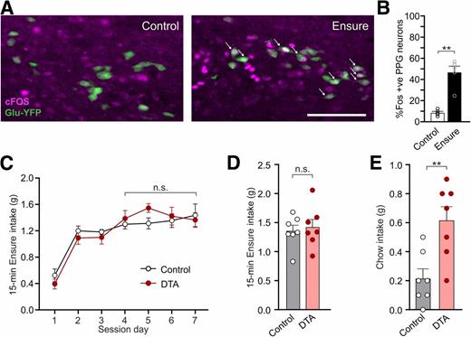 Preproglucagon Neurons in the Nucleus of the Solitary Tract Are the ...