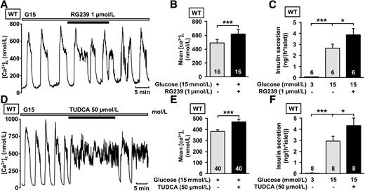 TGR5 Activation Promotes Stimulus-Secretion Coupling of Pancreatic β ...