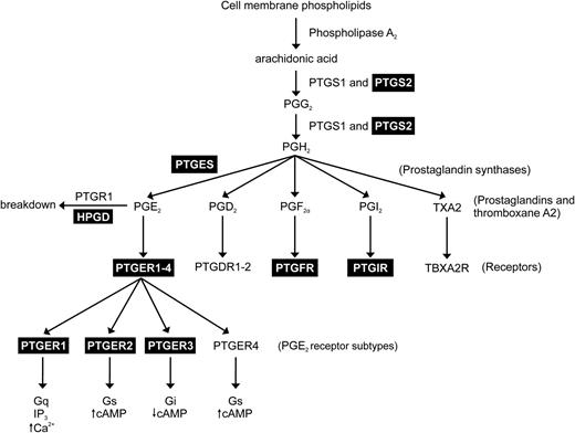 The Role of Prostaglandins in Disrupted Gastric Motor Activity ...