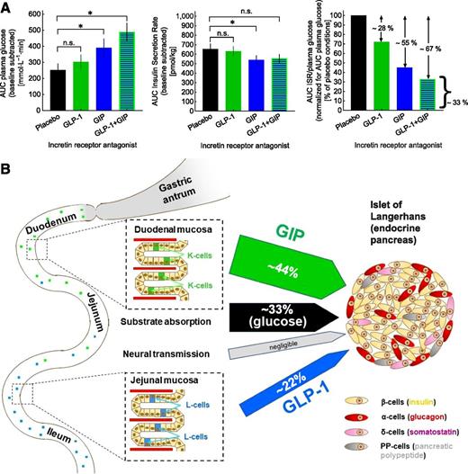 GIP and GLP-1: Stepsiblings Rather Than Monozygotic Twins Within the ...