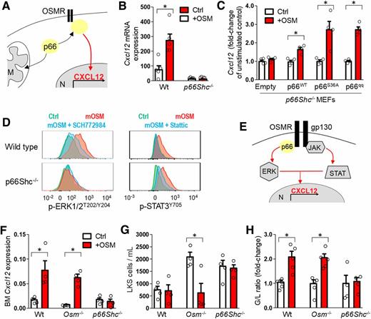 Diabetes-Associated Myelopoiesis Drives Stem Cell Mobilopathy Through ...
