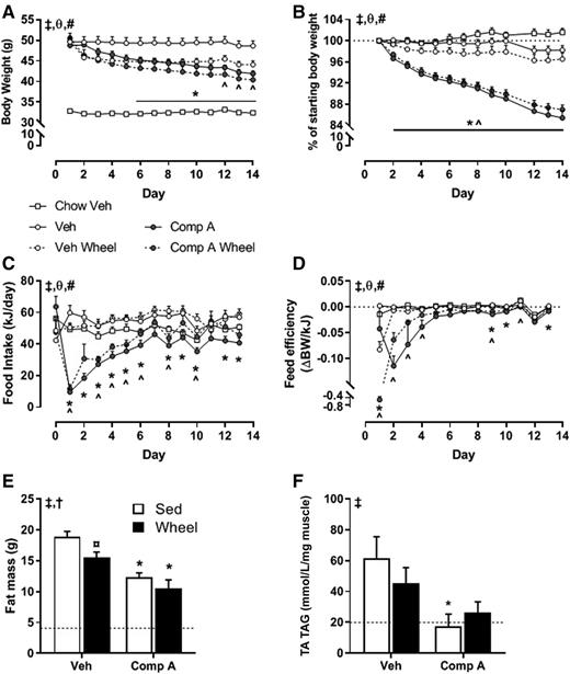 Modified UCN2 Peptide Acts as an Insulin Sensitizer in Skeletal Muscle ...