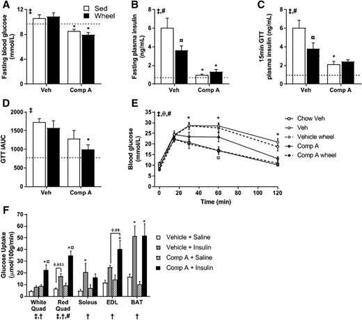 Modified UCN2 Peptide Acts as an Insulin Sensitizer in Skeletal Muscle ...