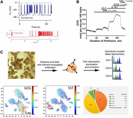 NIH Initiative to Improve Understanding of the Pancreas, Islet, and ...