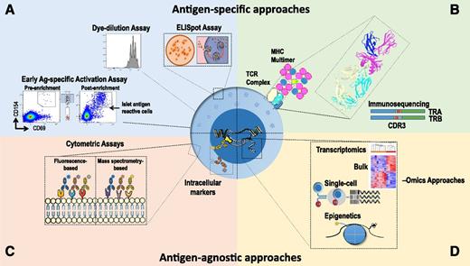 Standardizing T-Cell Biomarkers in Type 1 Diabetes: Challenges and ...