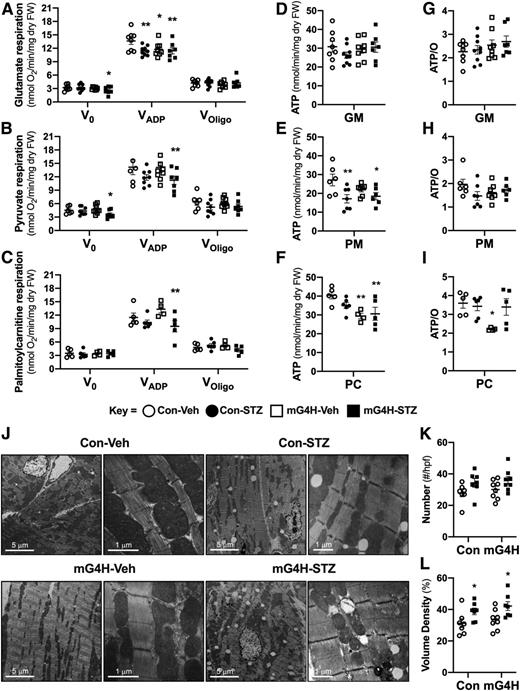 Maintaining Myocardial Glucose Utilization in Diabetic Cardiomyopathy ...