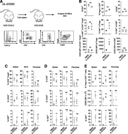 Persistent IL-2 Receptor Signaling by IL-2/CD25 Fusion Protein Controls ...