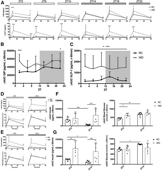 Circadian GLP-1 Secretion in Mice Is Dependent on the Intestinal ...