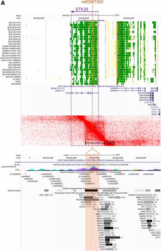 Rare Genetic Variants of Large Effect Influence Risk of Type 1 Diabetes ...