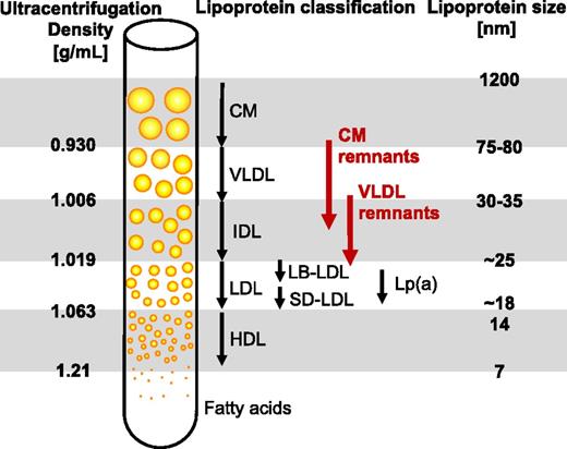 Remnants of the Triglyceride-Rich Lipoproteins, Diabetes, and ...