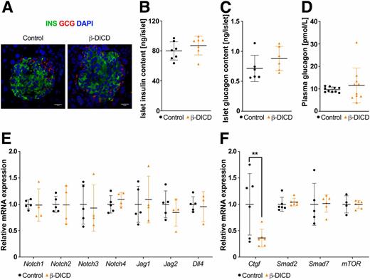DLL1- and DLL4-Mediated Notch Signaling Is Essential for Adult ...