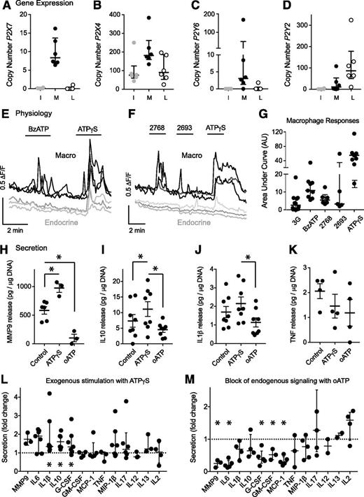 Secretory Functions of Macrophages in the Human Pancreatic Islet Are ...