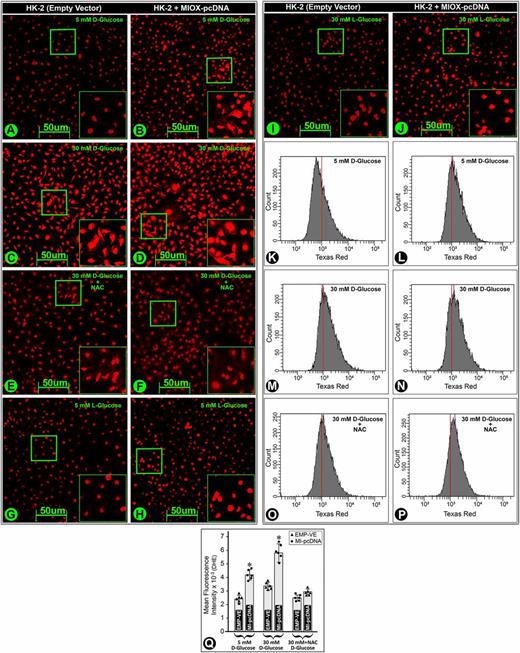 Myo-inositol Oxygenase (MIOX) Overexpression Drives the Progression of ...