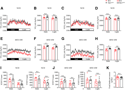 Transketolase Deficiency in Adipose Tissues Protects Mice From Diet ...