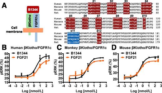 The Effects of B1344, a Novel Fibroblast Growth Factor 21 Analog, on ...
