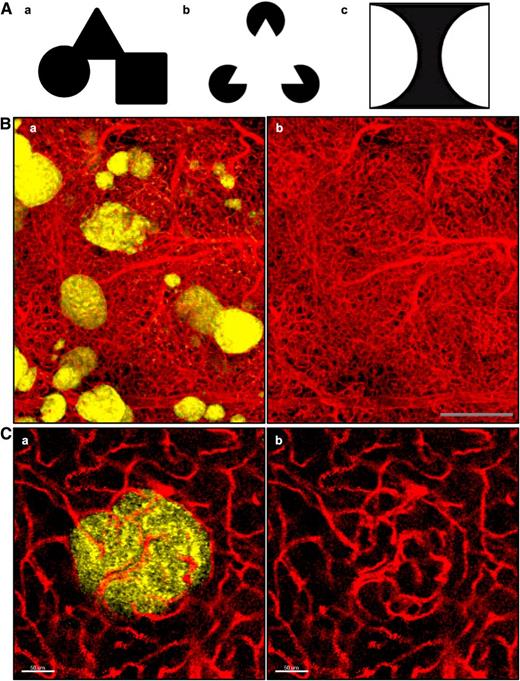 Pancreatic Islets and Gestalt Principles | Diabetes | American Diabetes ...