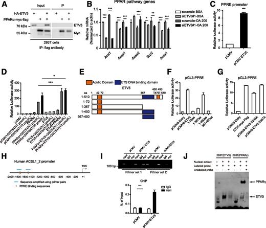 ETV5 Regulates Hepatic Fatty Acid Metabolism Through PPAR Signaling ...
