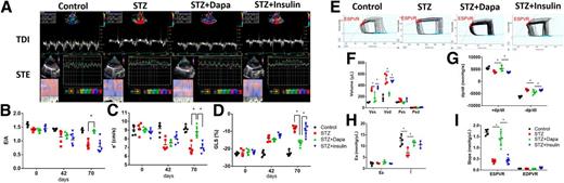 Dapagliflozin Suppresses ER Stress and Improves Subclinical Myocardial ...