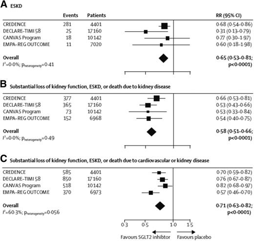 SGLT2 Inhibition for CKD and Cardiovascular Disease in Type 2 Diabetes ...