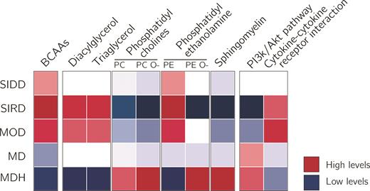 Distinct Molecular Signatures of Clinical Clusters in People With Type ...