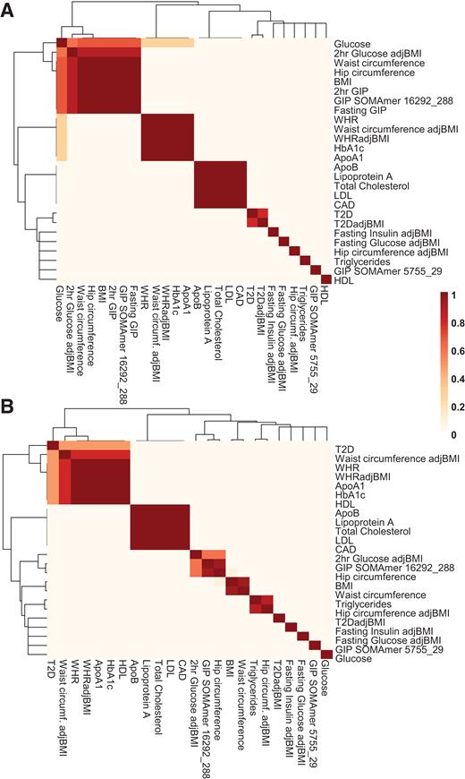 Genetically Predicted Glucose-Dependent Insulinotropic Polypeptide (GIP ...