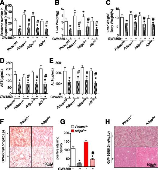 A High-Fat Diet Attenuates AMPK α1 in Adipocytes to Induce Exosome ...